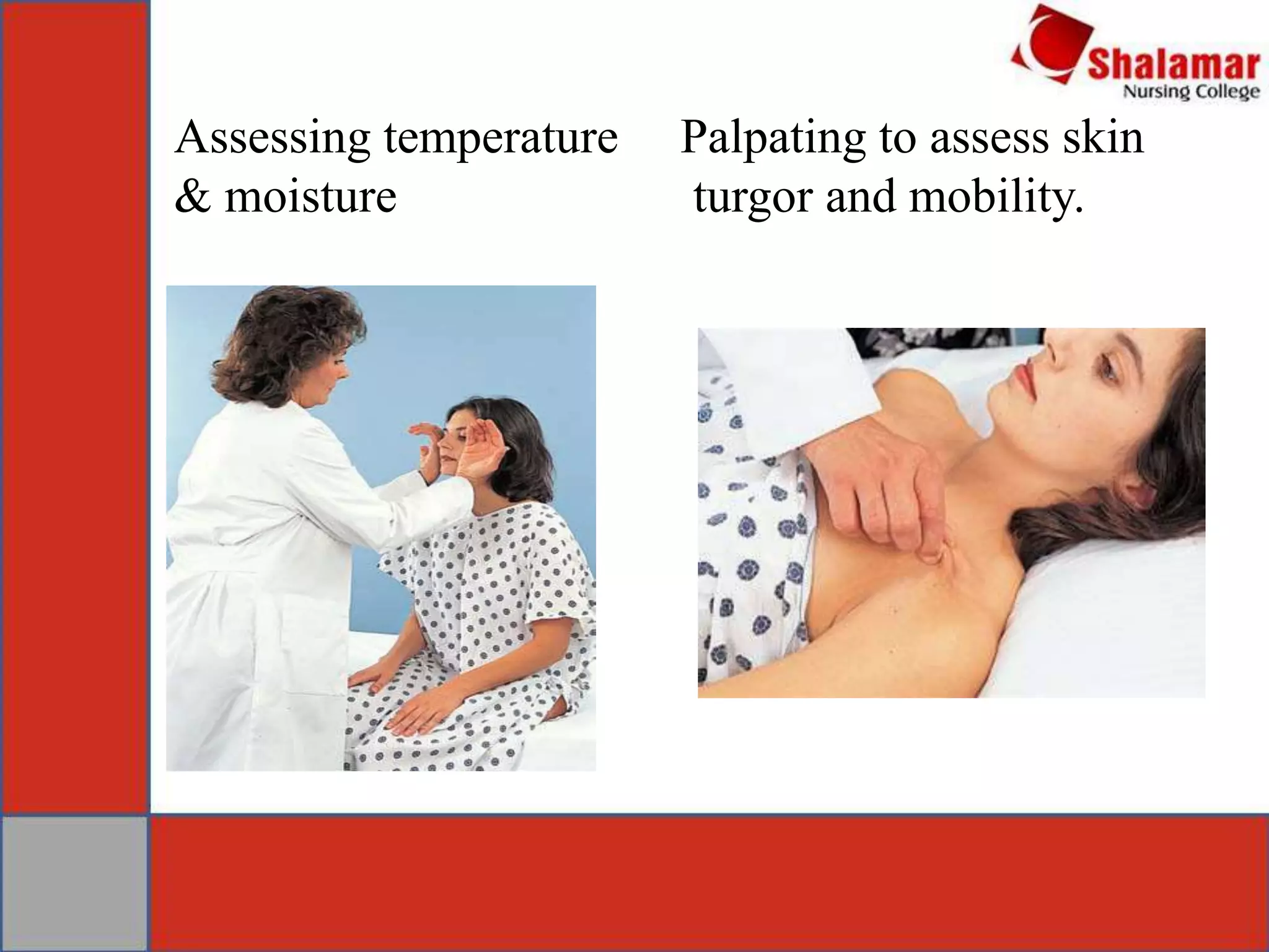 Assessment of Skin, Hairs & Nails. | PPTX