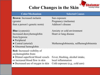 Assessment of Skin, Hairs & Nails. | PPTX