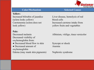 Assessment of Skin, Hairs & Nails. | PPTX