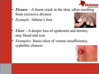 Assessment of Skin, Hairs & Nails. | PPTX