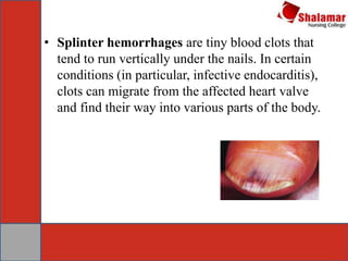 Assessment of Skin, Hairs & Nails. | PPTX