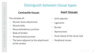 Assessment of contractile & inert tissues | PPTX
