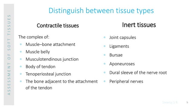 Assessment of contractile & inert tissues | PPTX | Physical Therapy ...