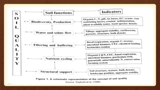 Assessment of soil quality for soil health | PPTX