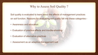 Assessment of soil quality for soil health | PPTX