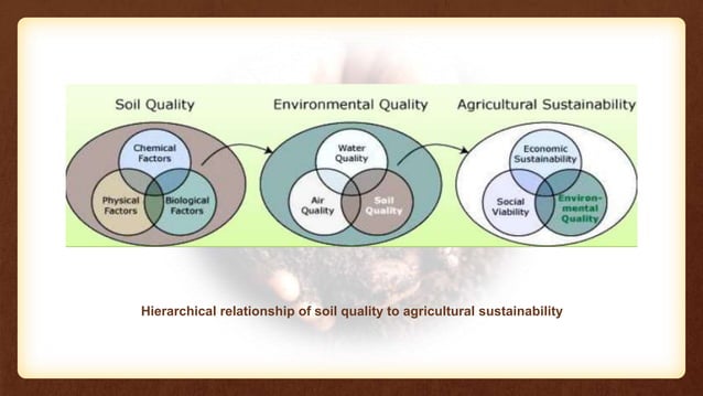 Assessment of soil quality for soil health | PPTX | Agriculture ...