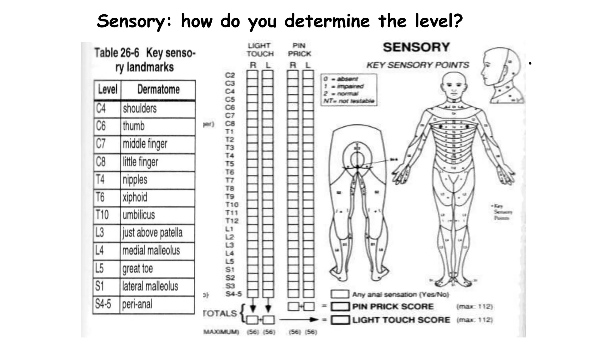 Assessment of Spinal cord injury.pptx