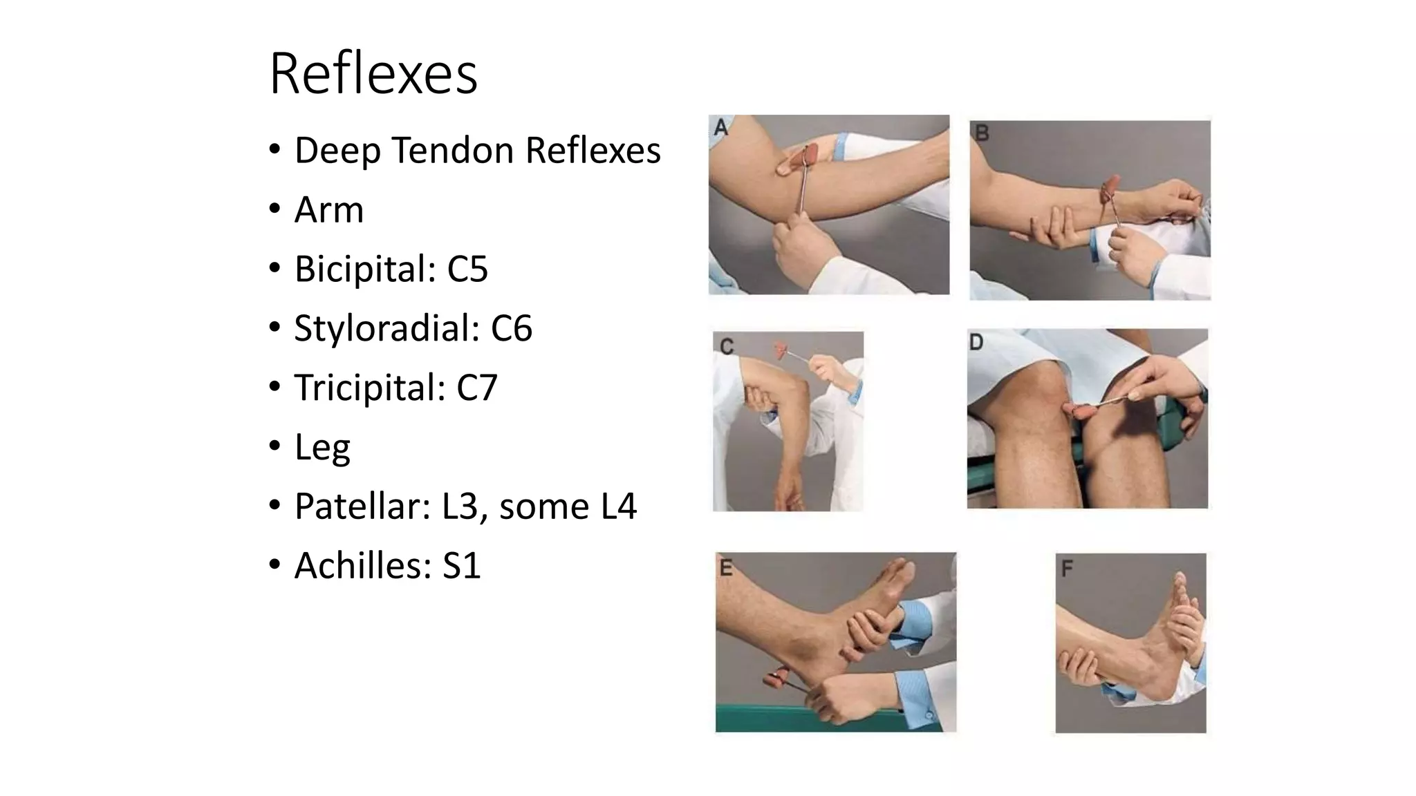 Assessment of Spinal cord injury.pptx
