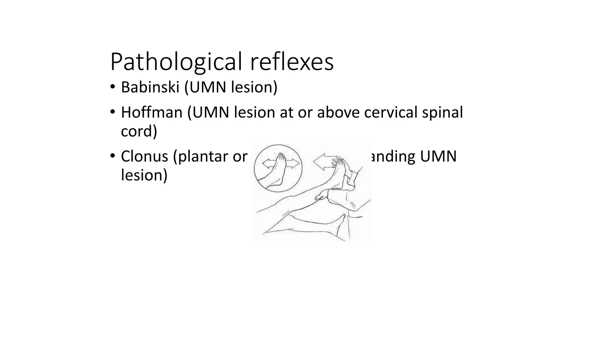 Assessment of Spinal cord injury.pptx