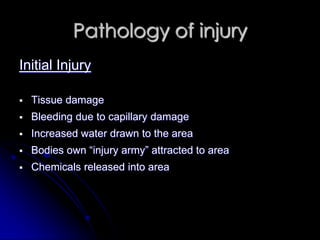 Assessment of Sports Injuries - 1.pdf