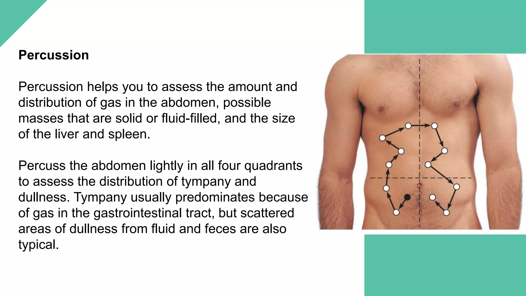 Assessment of the abdomen | PPTX