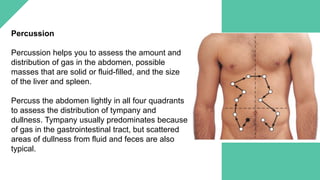 Assessment of the abdomen | PPTX