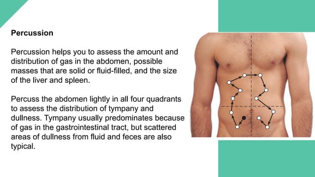 Assessment of the abdomen | PPTX | Heart and Cardiovascular Diseases ...