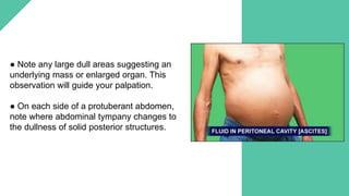 Assessment of the abdomen | PPTX