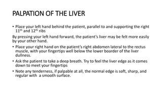 Assessment of the abdomen | PDF