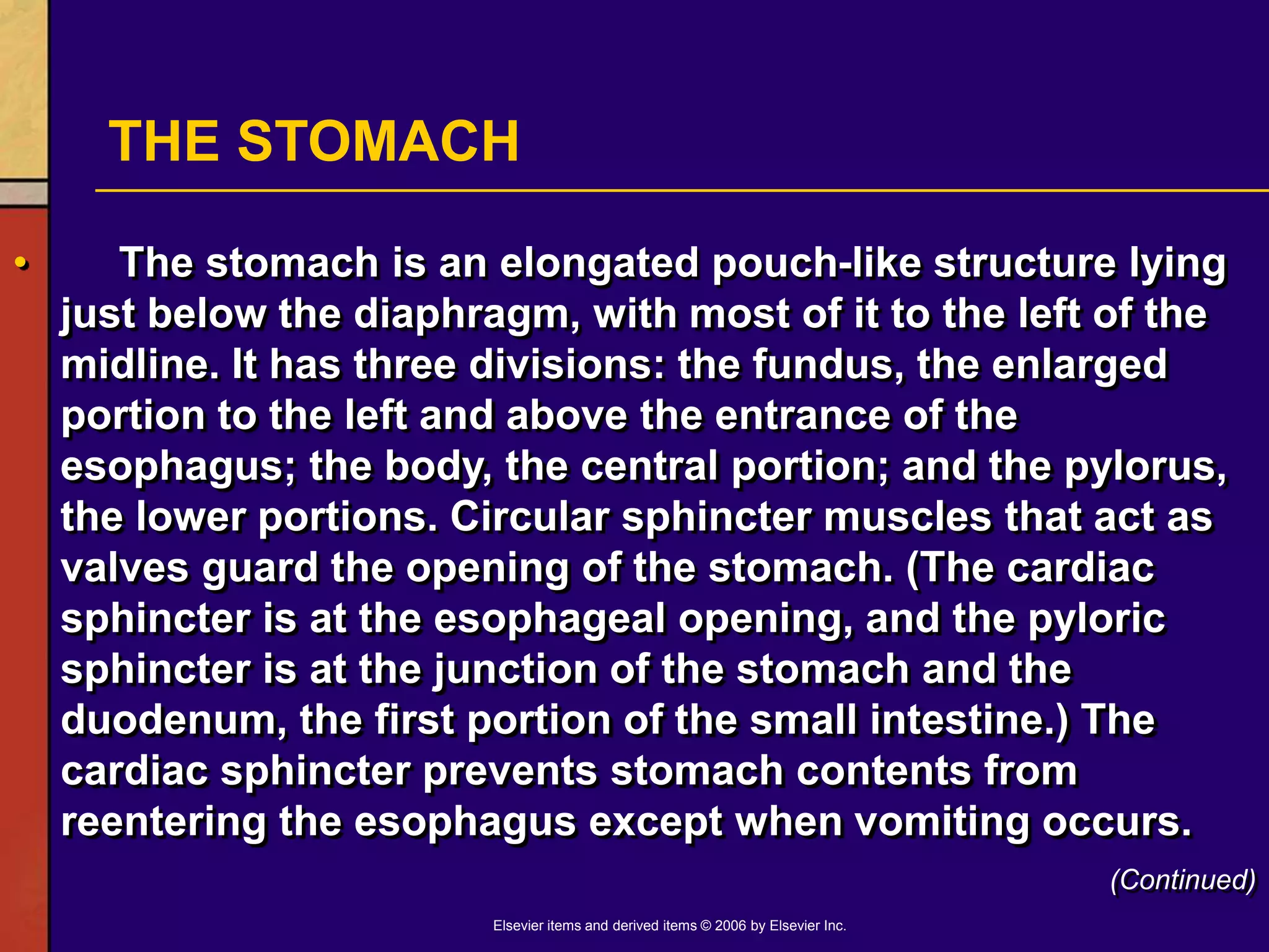 Assessment of the Gastrointestinal System.ppt