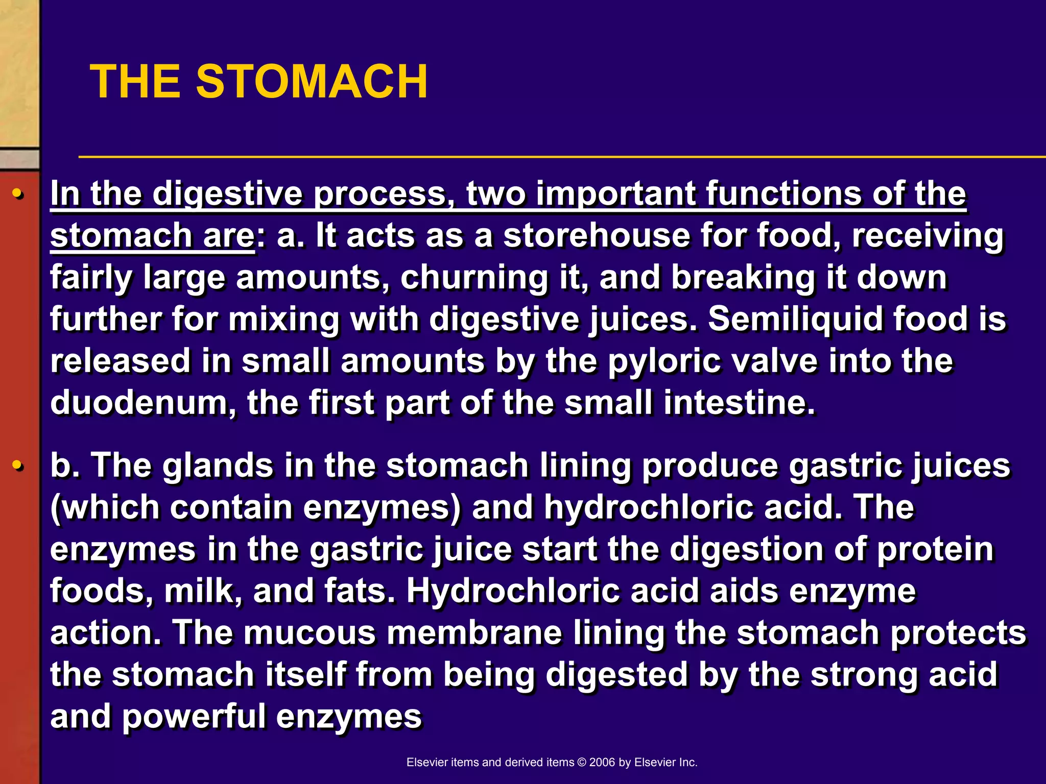 Assessment of the Gastrointestinal System.ppt