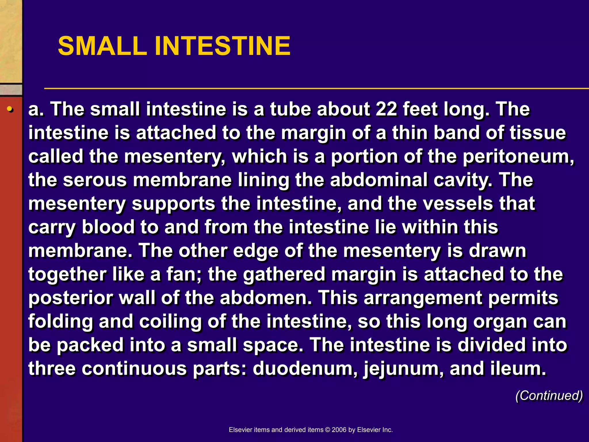 Assessment of the Gastrointestinal System.ppt