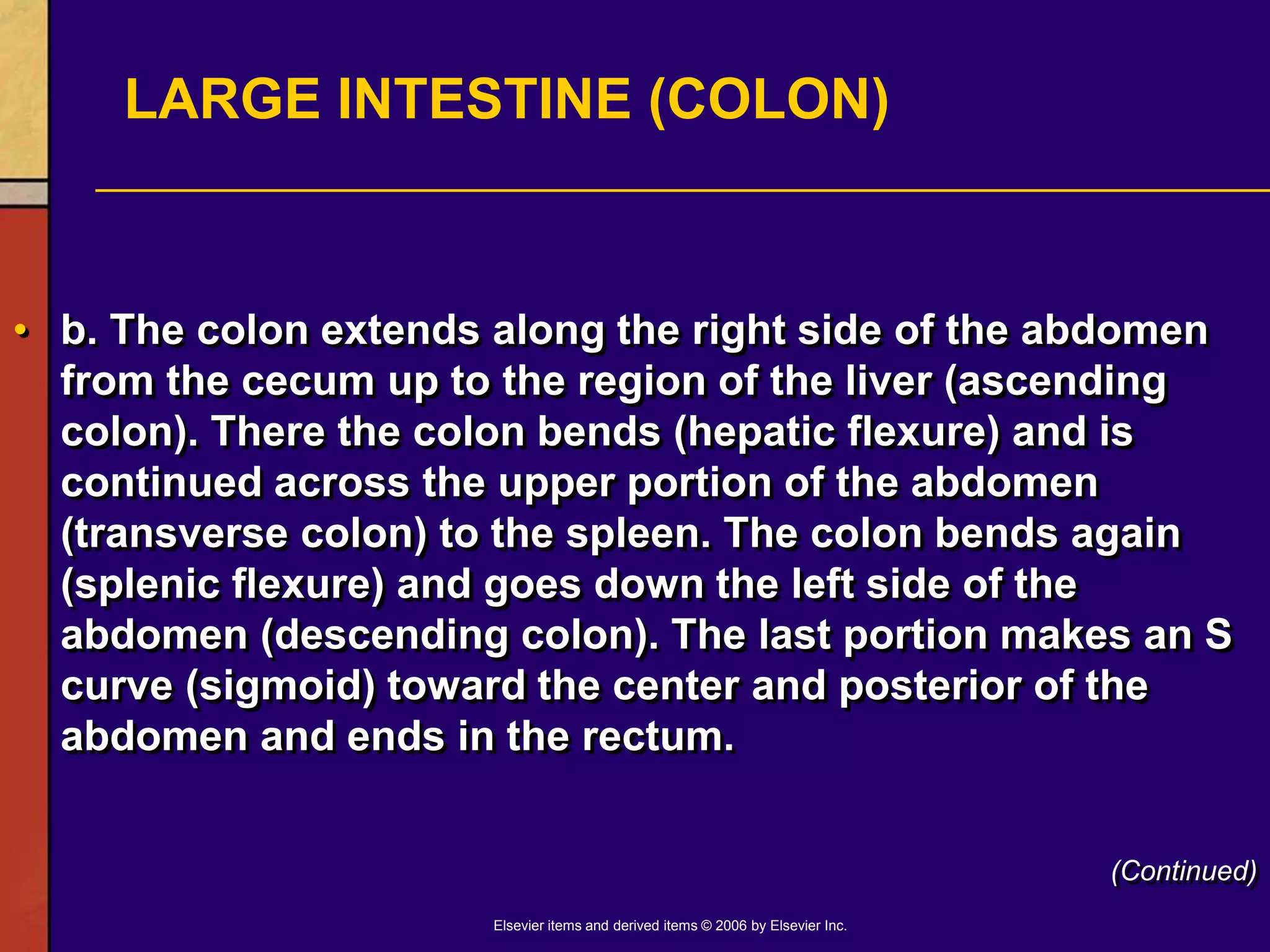 Assessment of the Gastrointestinal System.ppt