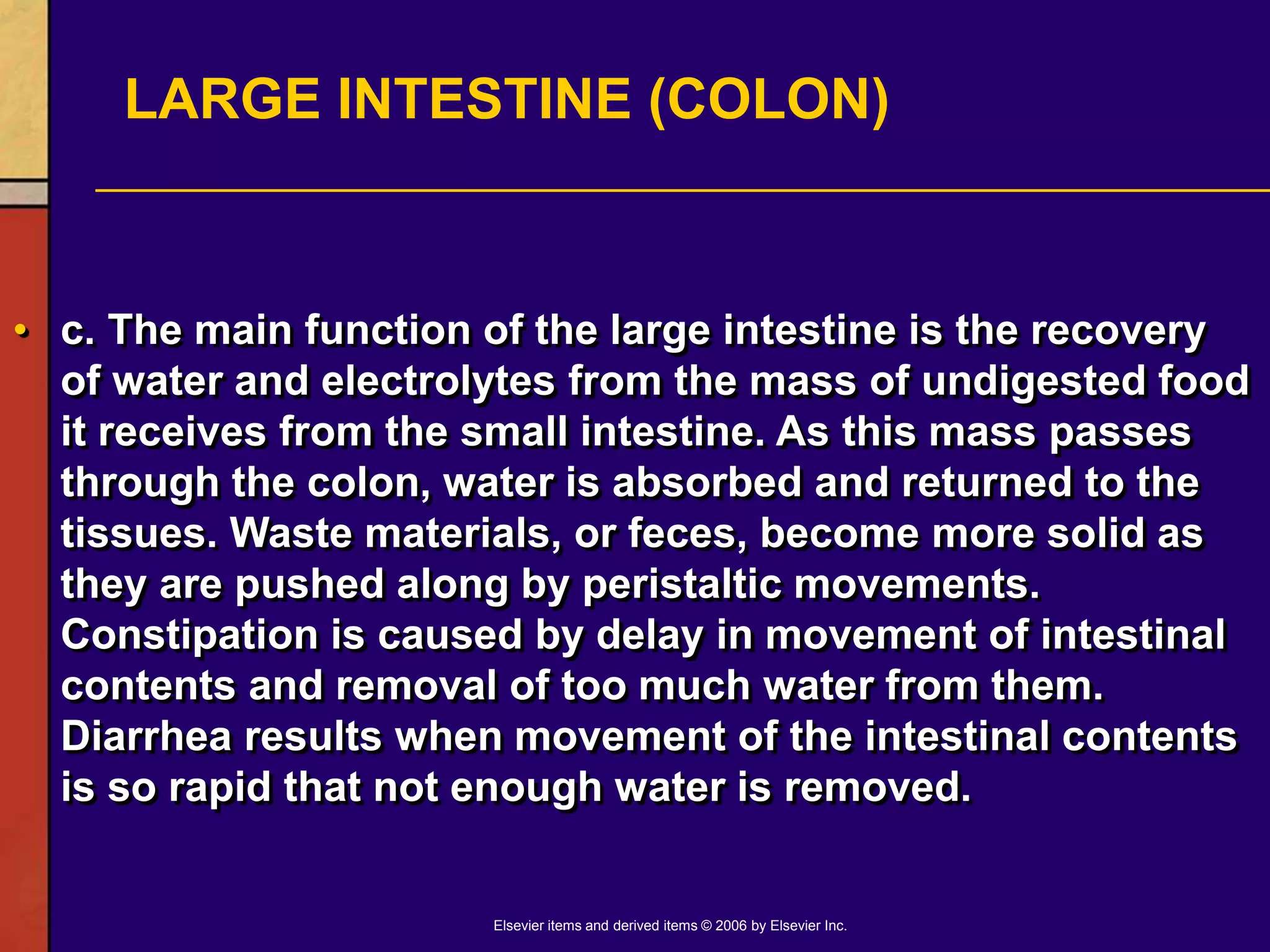 Assessment of the Gastrointestinal System.ppt