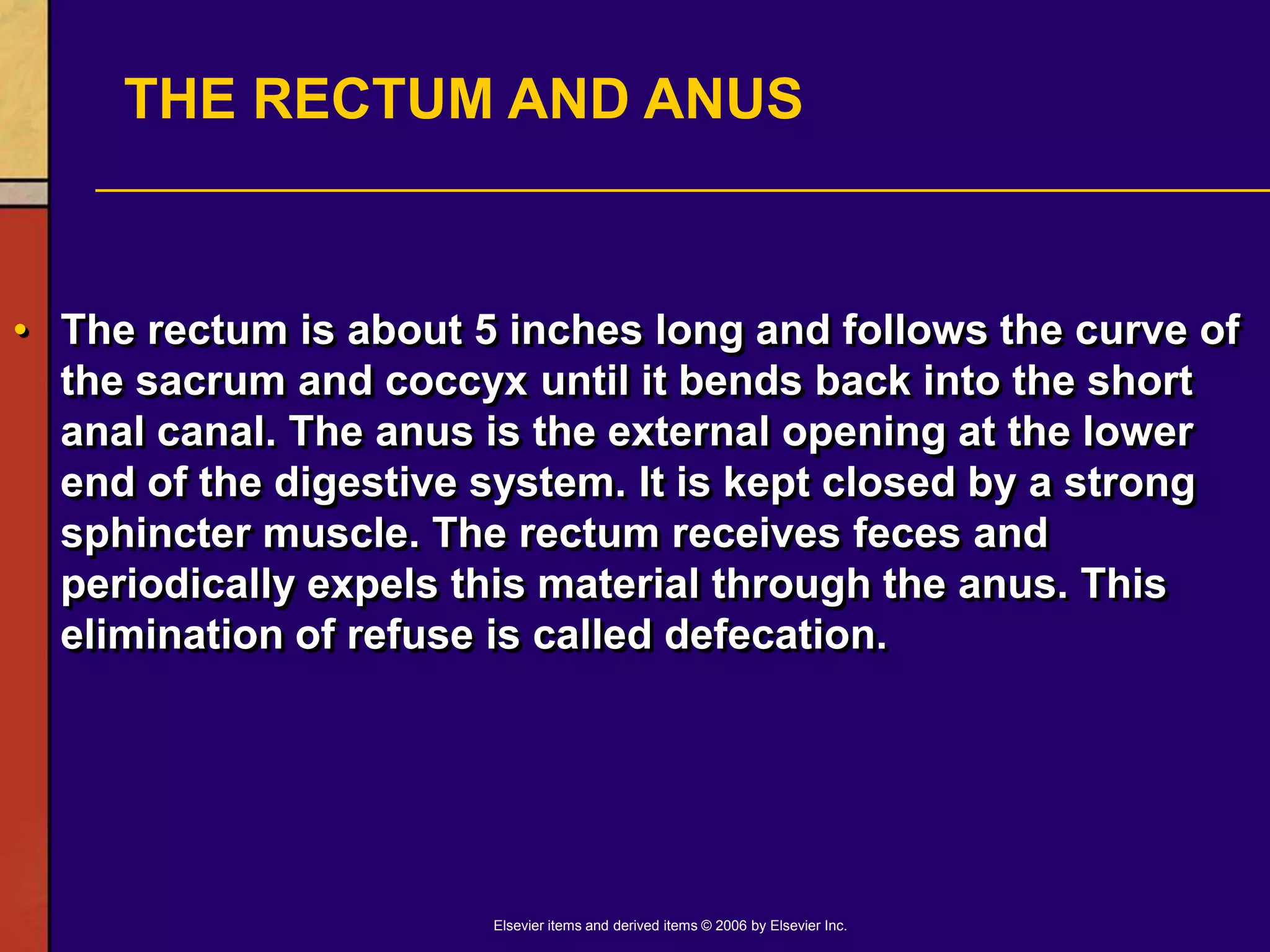 Assessment of the Gastrointestinal System.ppt