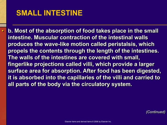 Assessment of the Gastrointestinal System.ppt