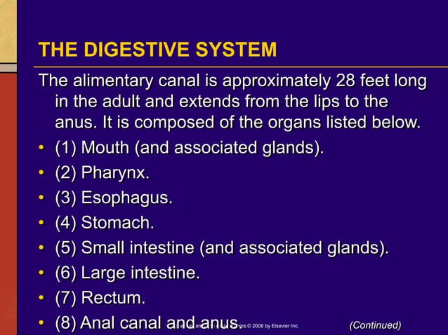 Assessment of the Gastrointestinal System.ppt | Dental Health ...