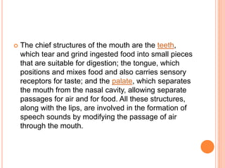 Assessment of the mouth MINE.pptx