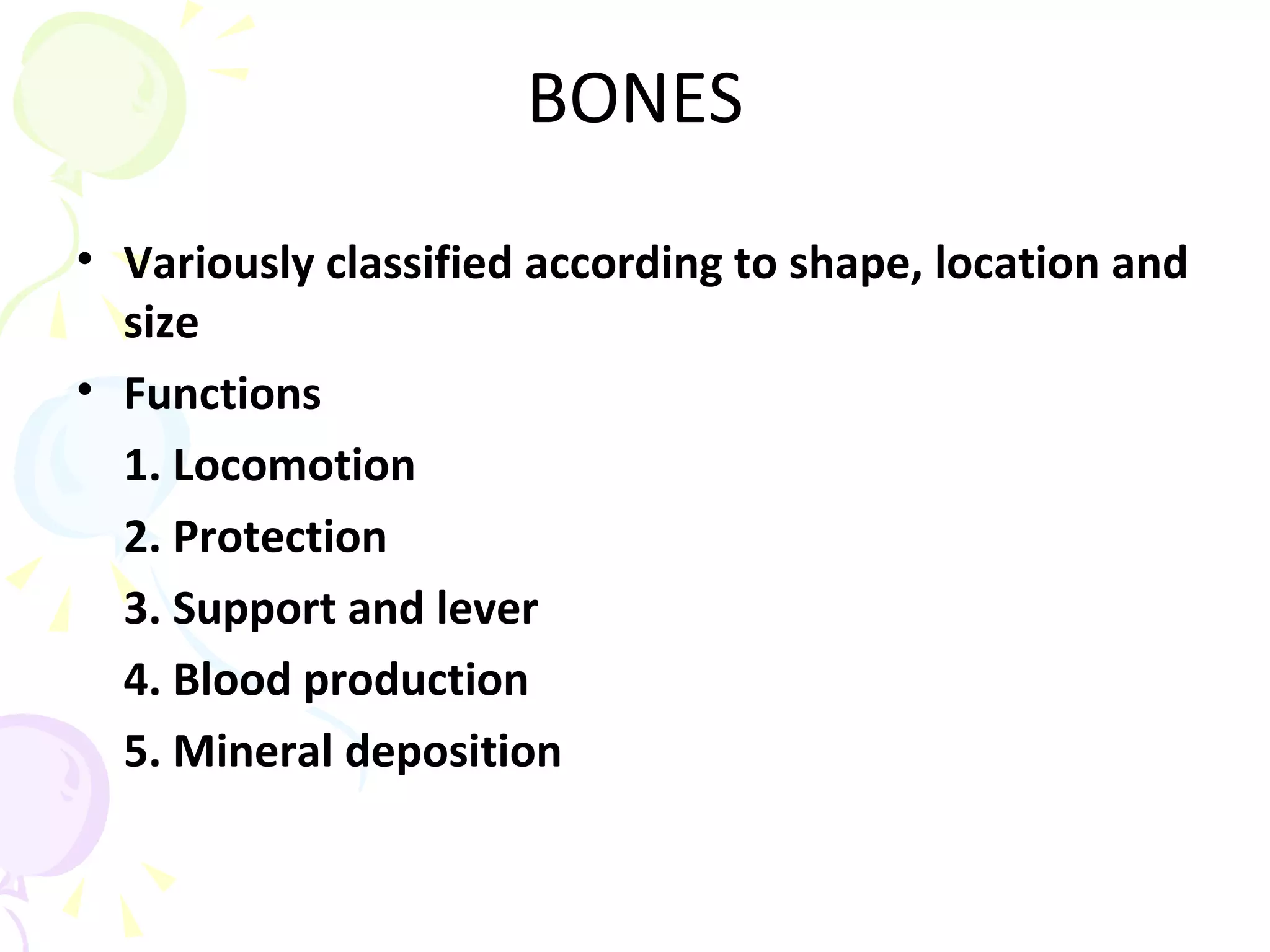 Assessment of the musclo skletal system | PPT