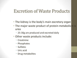 assessment_of_the_renalurinary_system.ppt