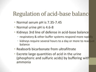 assessment_of_the_renalurinary_system.ppt