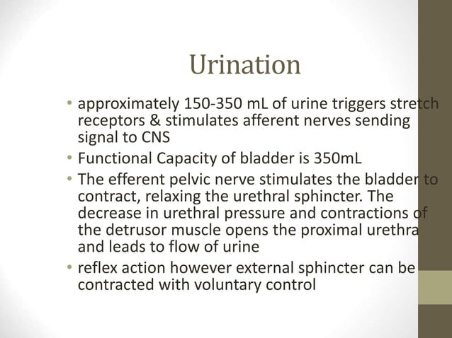 assessment_of_the_renalurinary_system.ppt