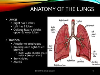 NURSING ASSESSMENT OF THE THORAX AND LUNGS.ppt