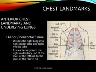 NURSING ASSESSMENT OF THE THORAX AND LUNGS.ppt