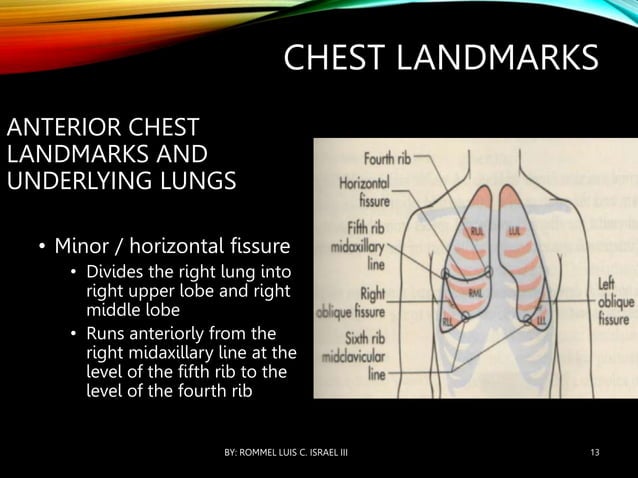 NURSING ASSESSMENT OF THE THORAX AND LUNGS.ppt