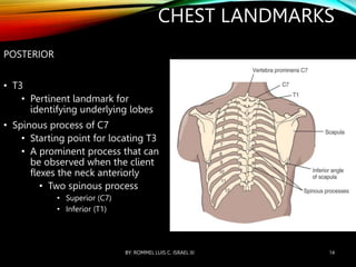 NURSING ASSESSMENT OF THE THORAX AND LUNGS.ppt