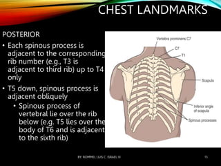 NURSING ASSESSMENT OF THE THORAX AND LUNGS.ppt