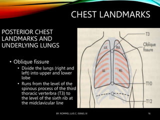 NURSING ASSESSMENT OF THE THORAX AND LUNGS.ppt