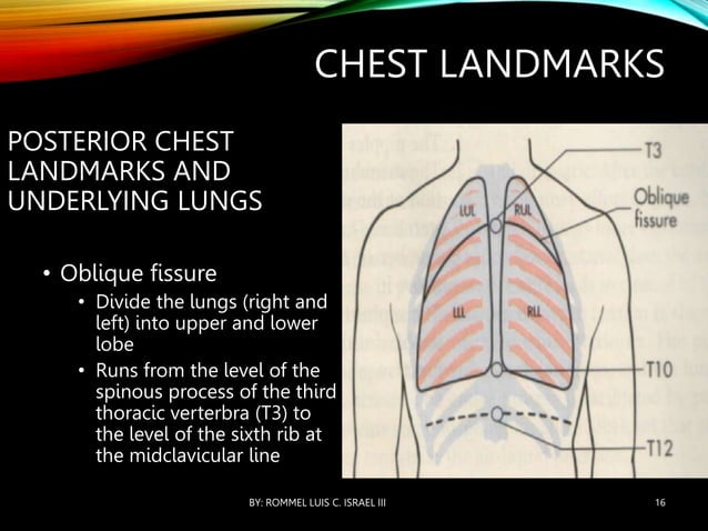 NURSING ASSESSMENT OF THE THORAX AND LUNGS.ppt