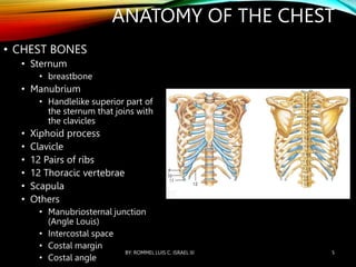 NURSING ASSESSMENT OF THE THORAX AND LUNGS.ppt