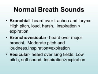 Assessment of the thorax and lungs 5 | PPT