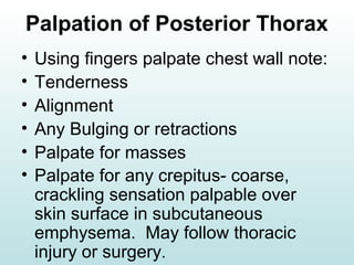 Assessment of the thorax and lungs 5 | PPT | Death, Injury, or Military ...