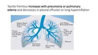 assessment of thorax.pptx | Lung and Respiratory Health | Diseases and ...