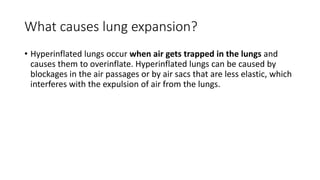 assessment of thorax.pptx | Lung and Respiratory Health | Diseases and ...