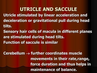Assessment of vestibular function test | PPT