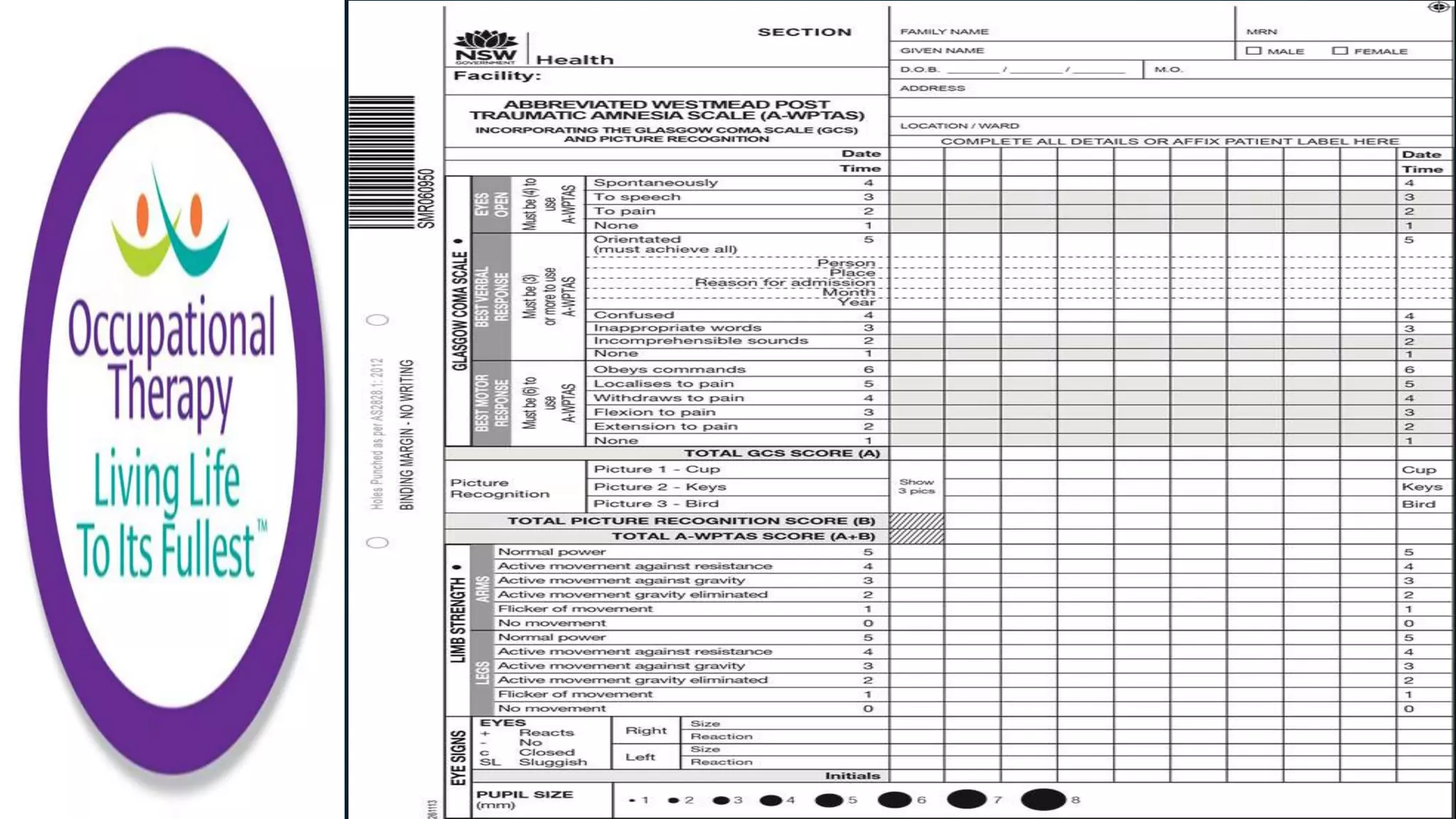 Occupational Therapy Standardized Assessment | PPTX
