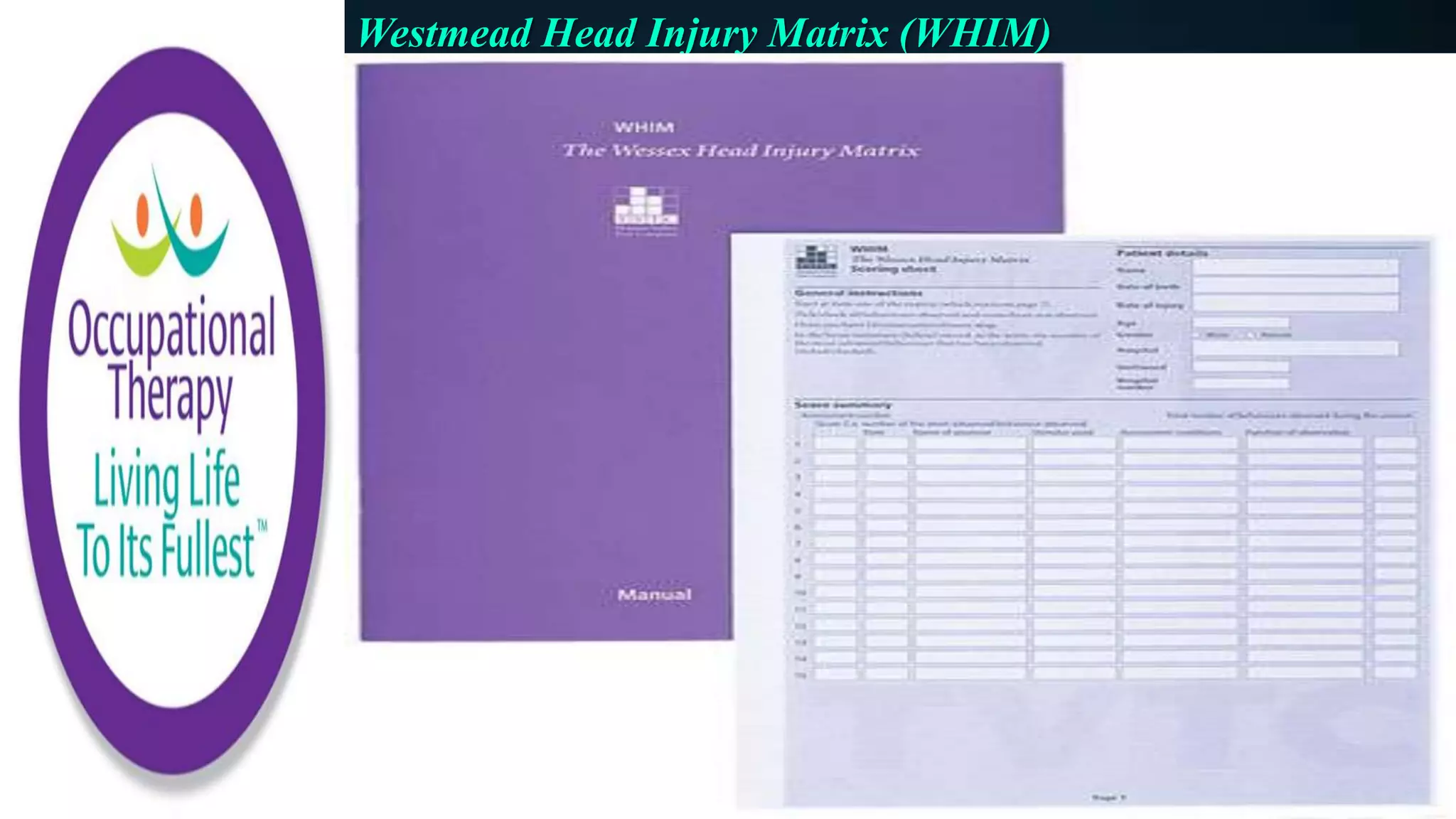 Occupational Therapy Standardized Assessment | PPTX