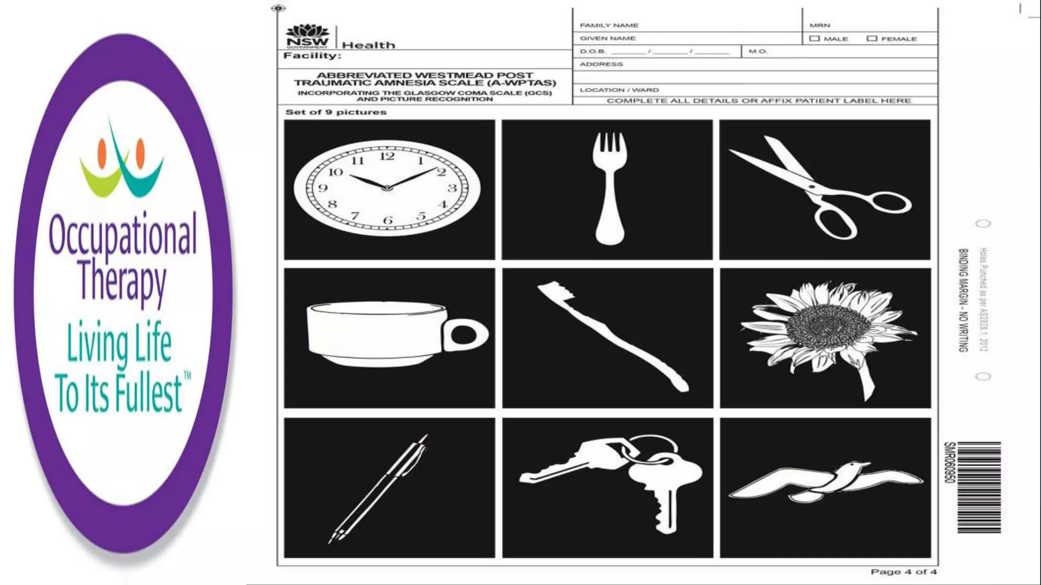 Occupational Therapy Standardized Assessment | PPTX
