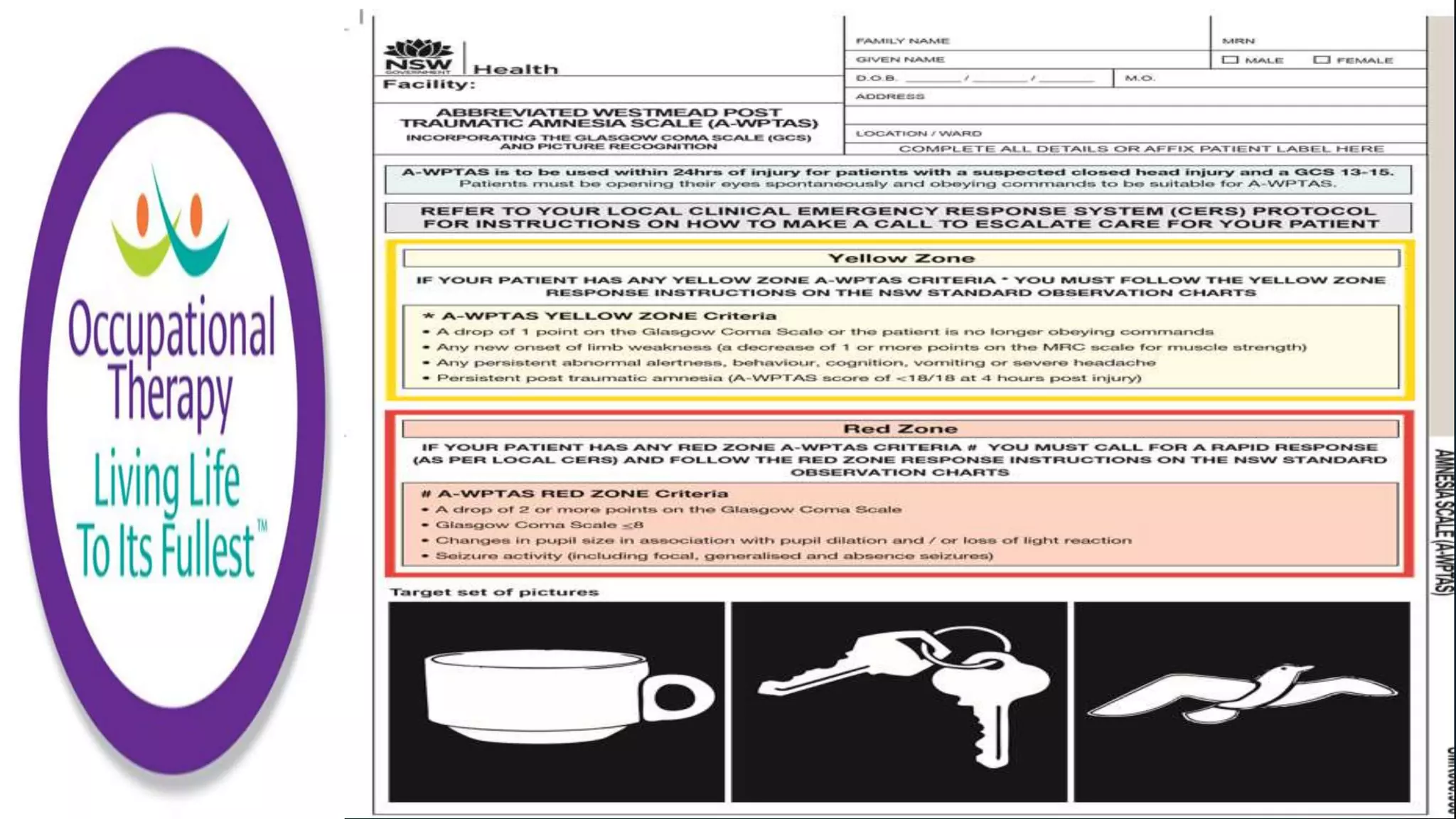 Occupational Therapy Standardized Assessment | PPTX