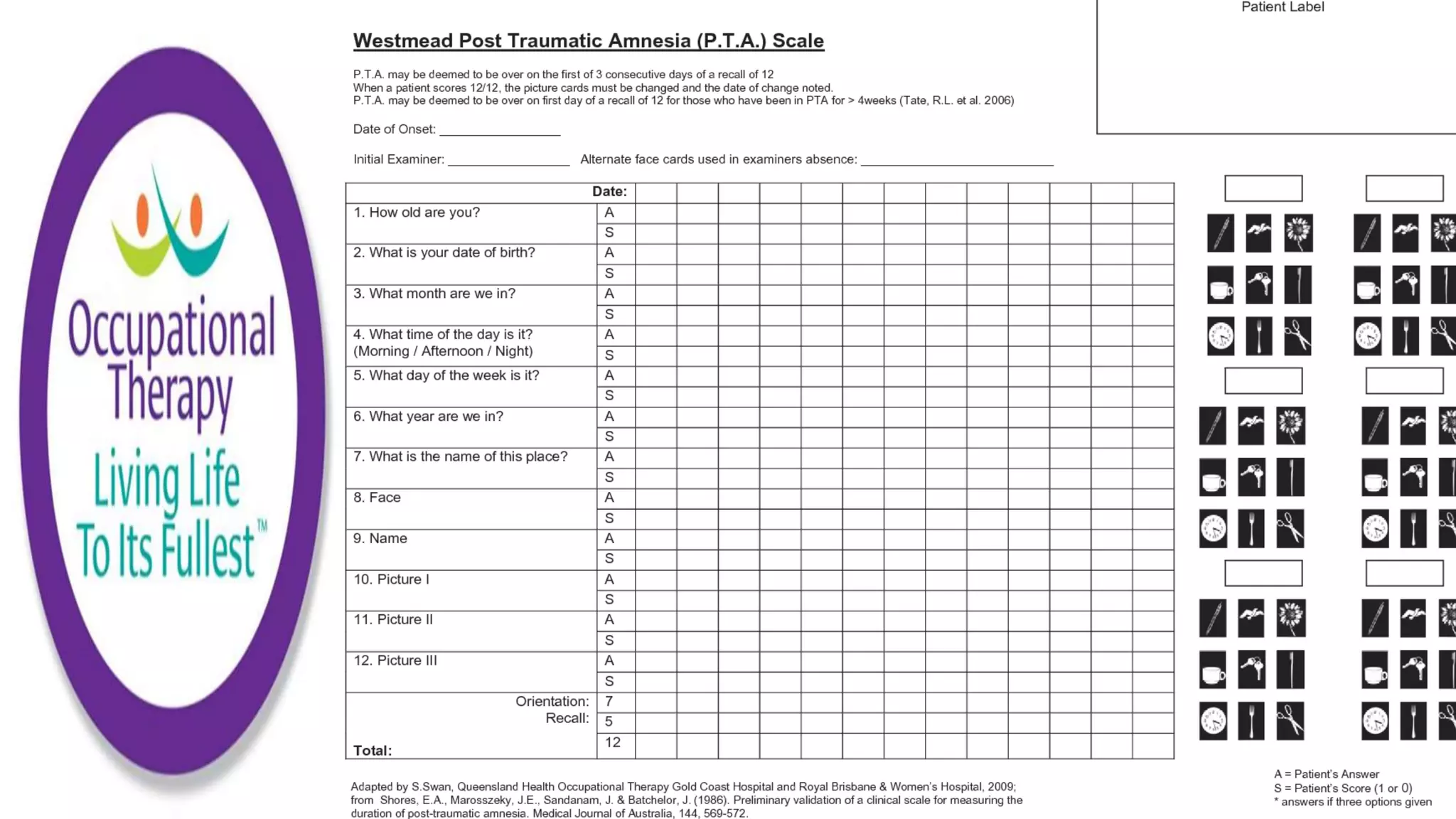 Occupational Therapy Standardized Assessment | PPTX